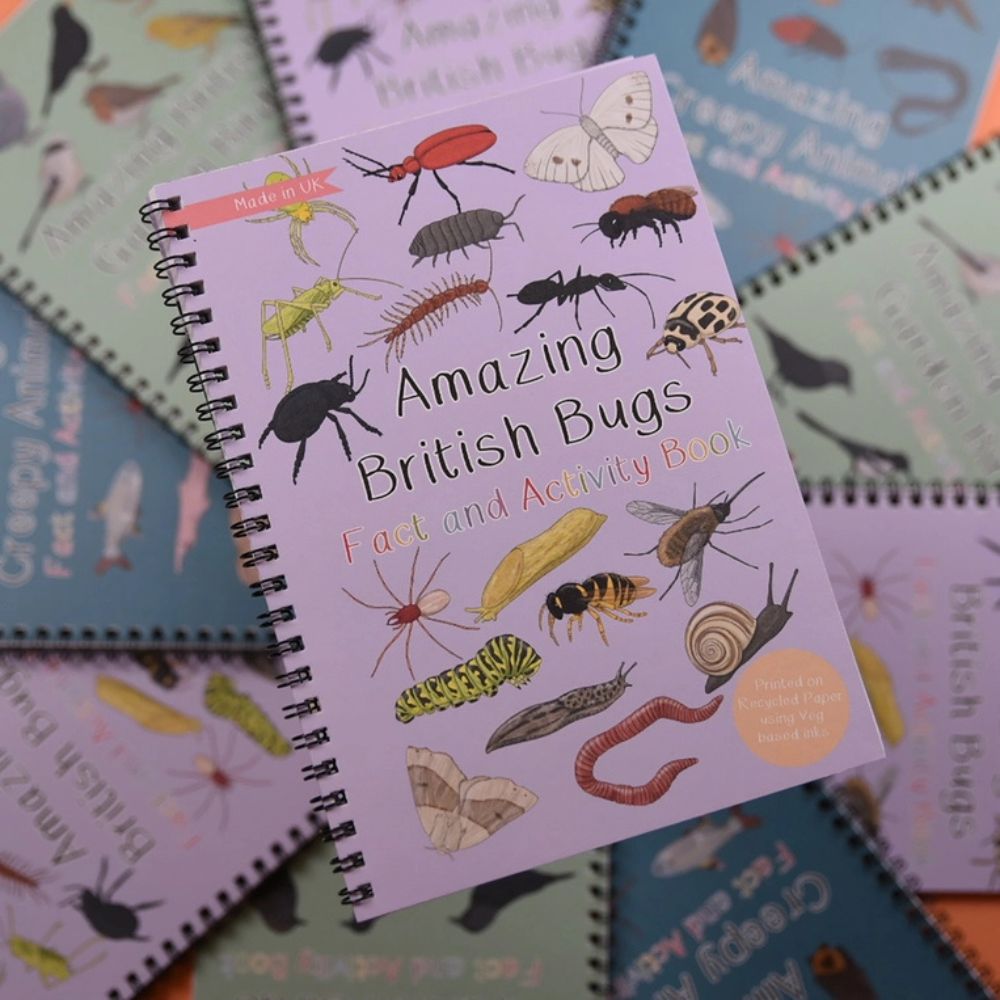 Amazing British Bugs Fact and Activity Book | Button and Squirt ...