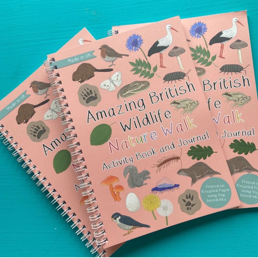 Amazing British Nature Walk Activity Book and Nature Journal | Button ...