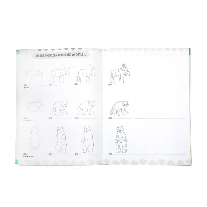 eeBoo Learn to Draw Wild Animals | Learn to Draw Books at Crafts4Kids ...
