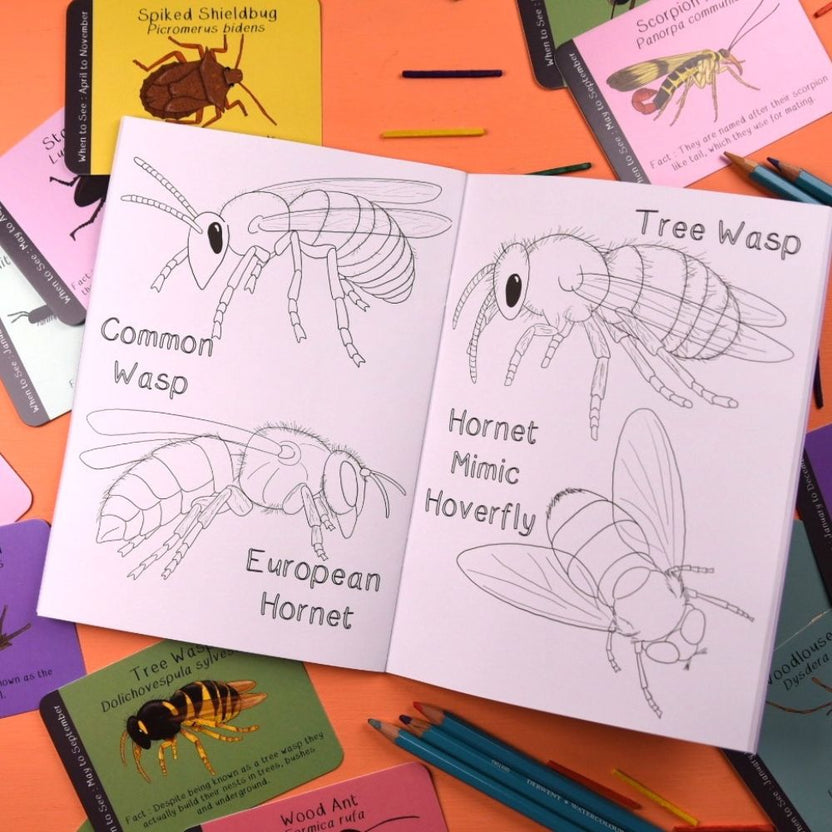 Button and Squirt Amazing British Bugs Colouring Book | Educational ...