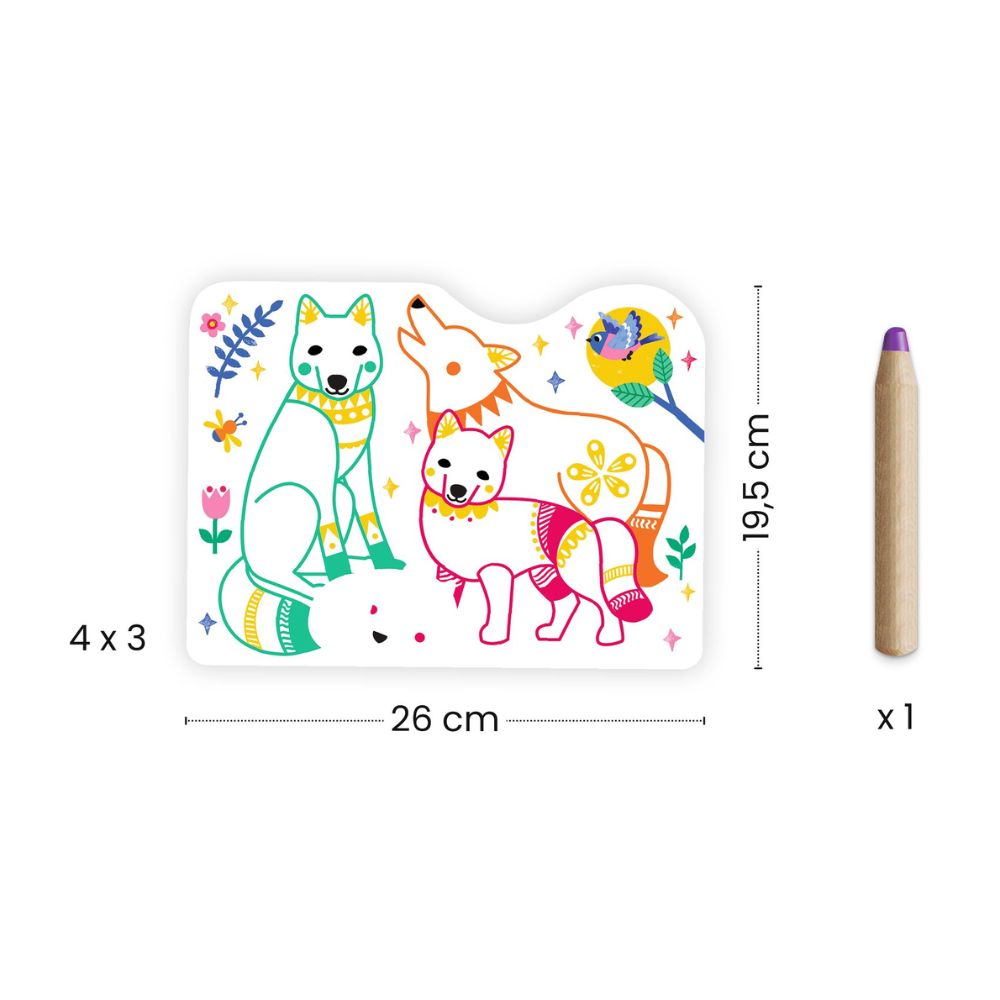 Djeco Colour Reveal Pictures Forest Families | Colouring In Sets ...